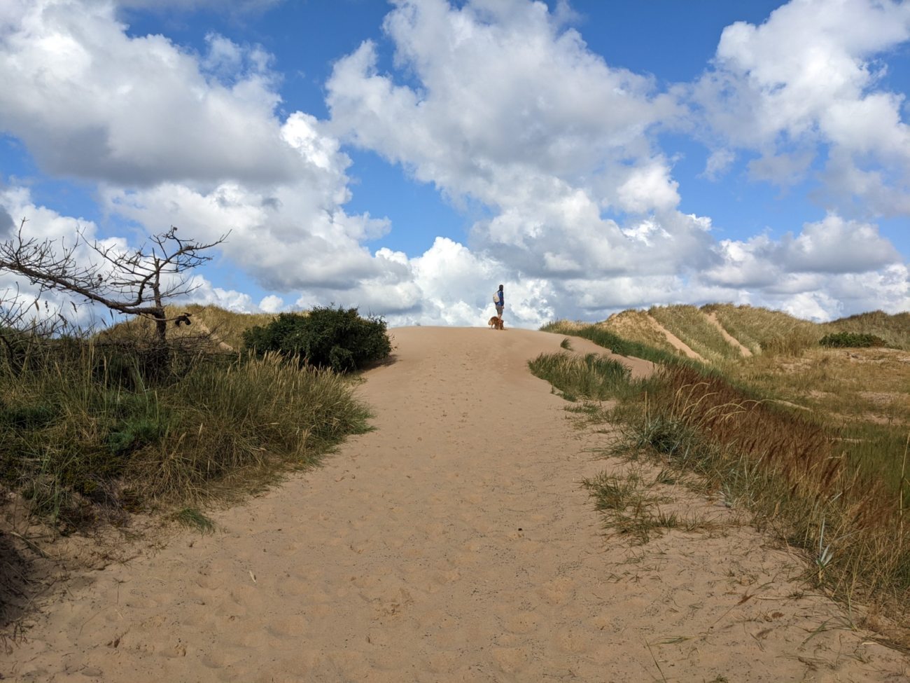 Mellbystrand I Schwedens schönster Strand