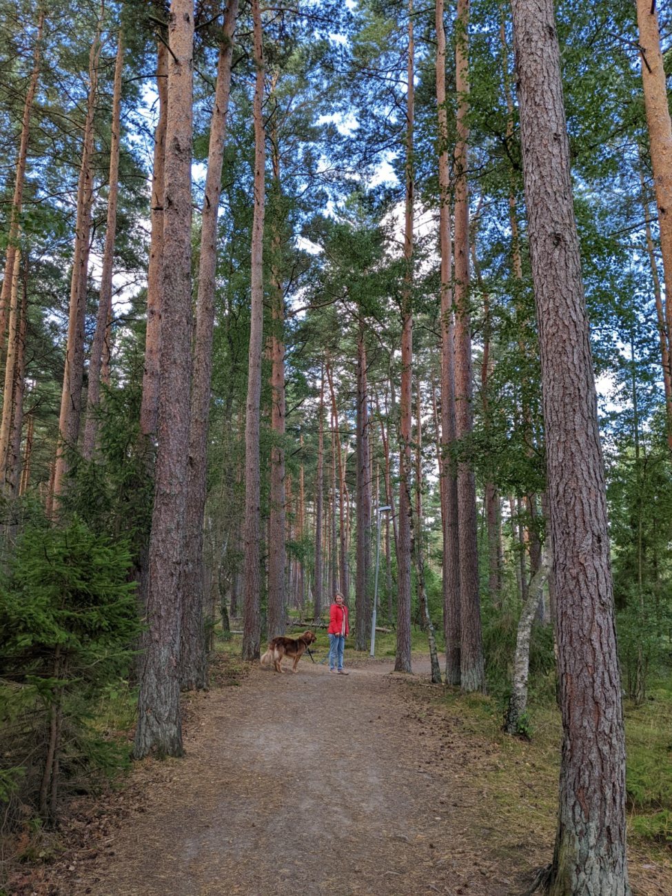 Mellbystrand I Schwedens schönster Strand