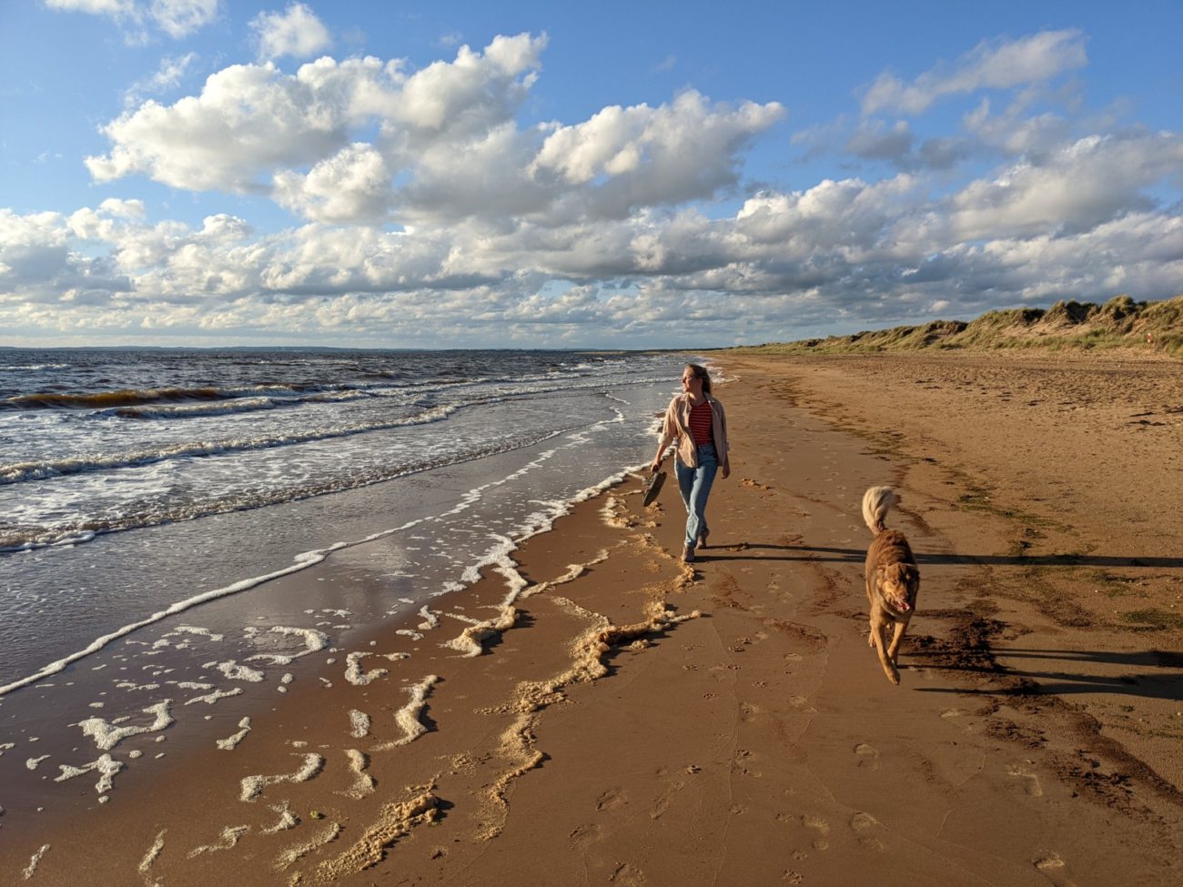 Mellbystrand I Schwedens schönster Strand
